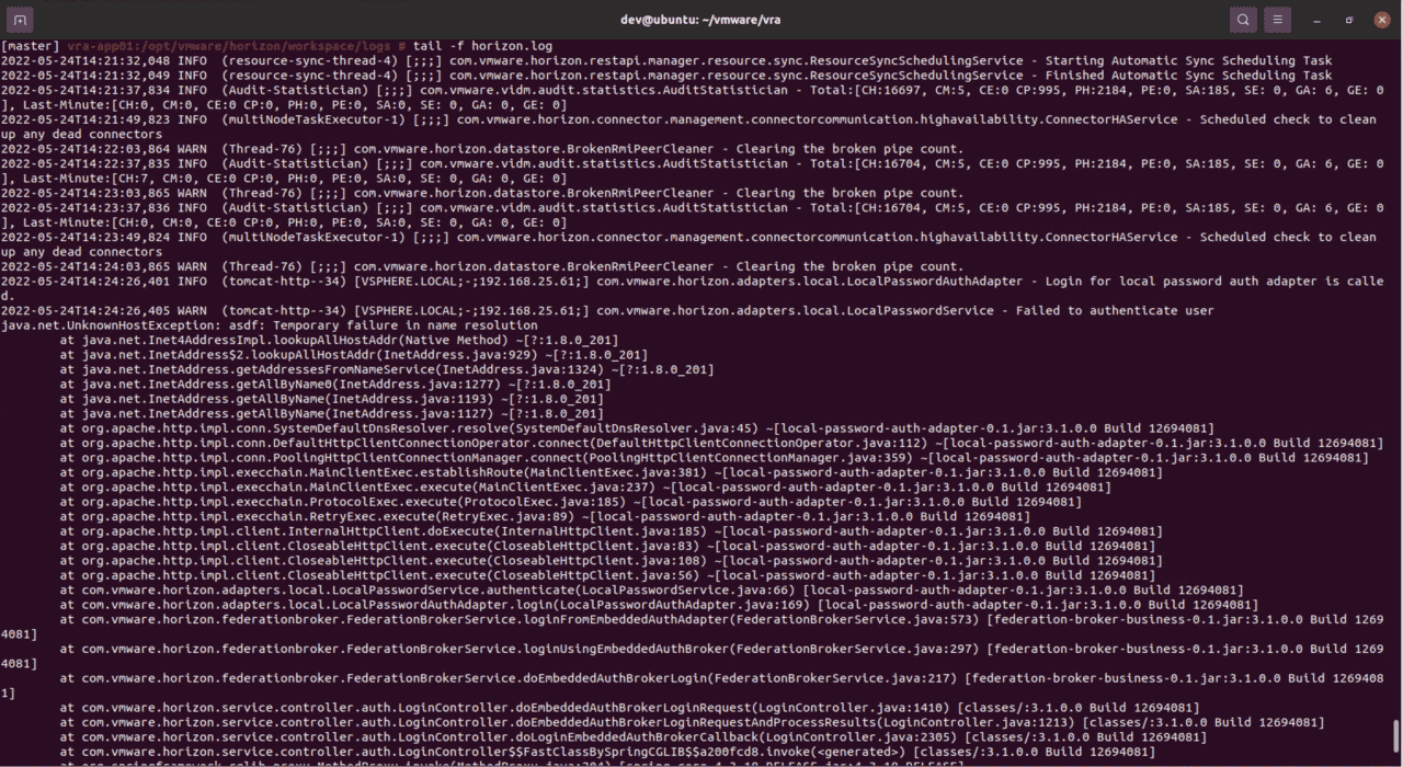 VMware Authentication Bypass Vulnerability (CVE-2022-22972) Technical Deep Dive | Horizon3.ai