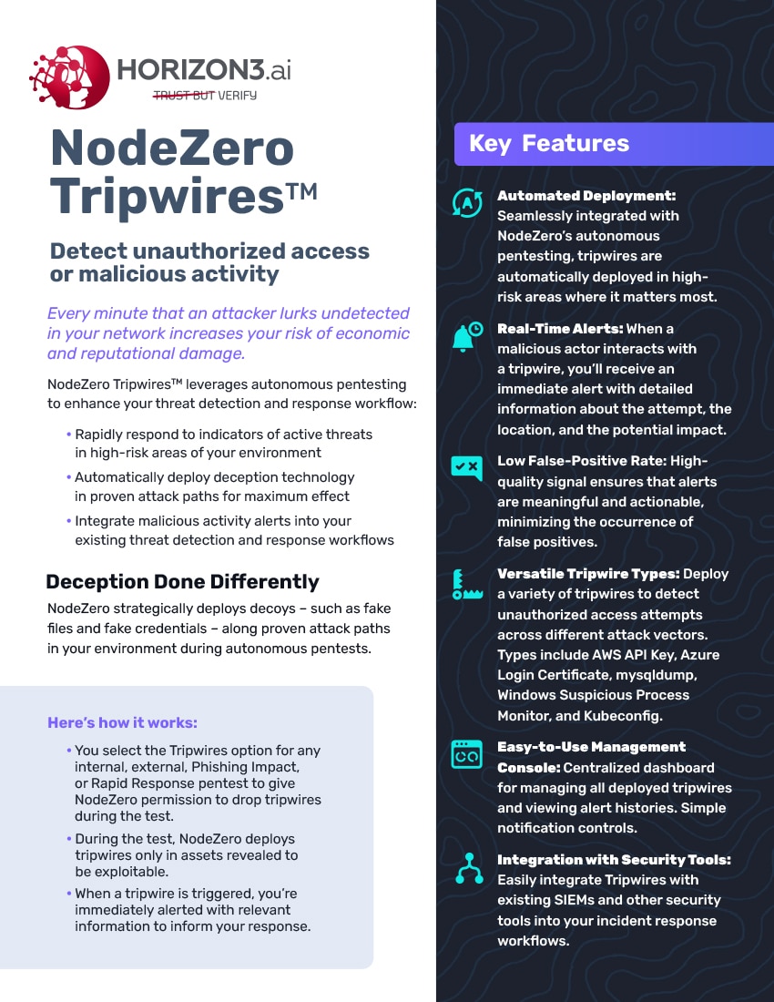 NodeZero Factsheets: Quick Insights for Stronger Security